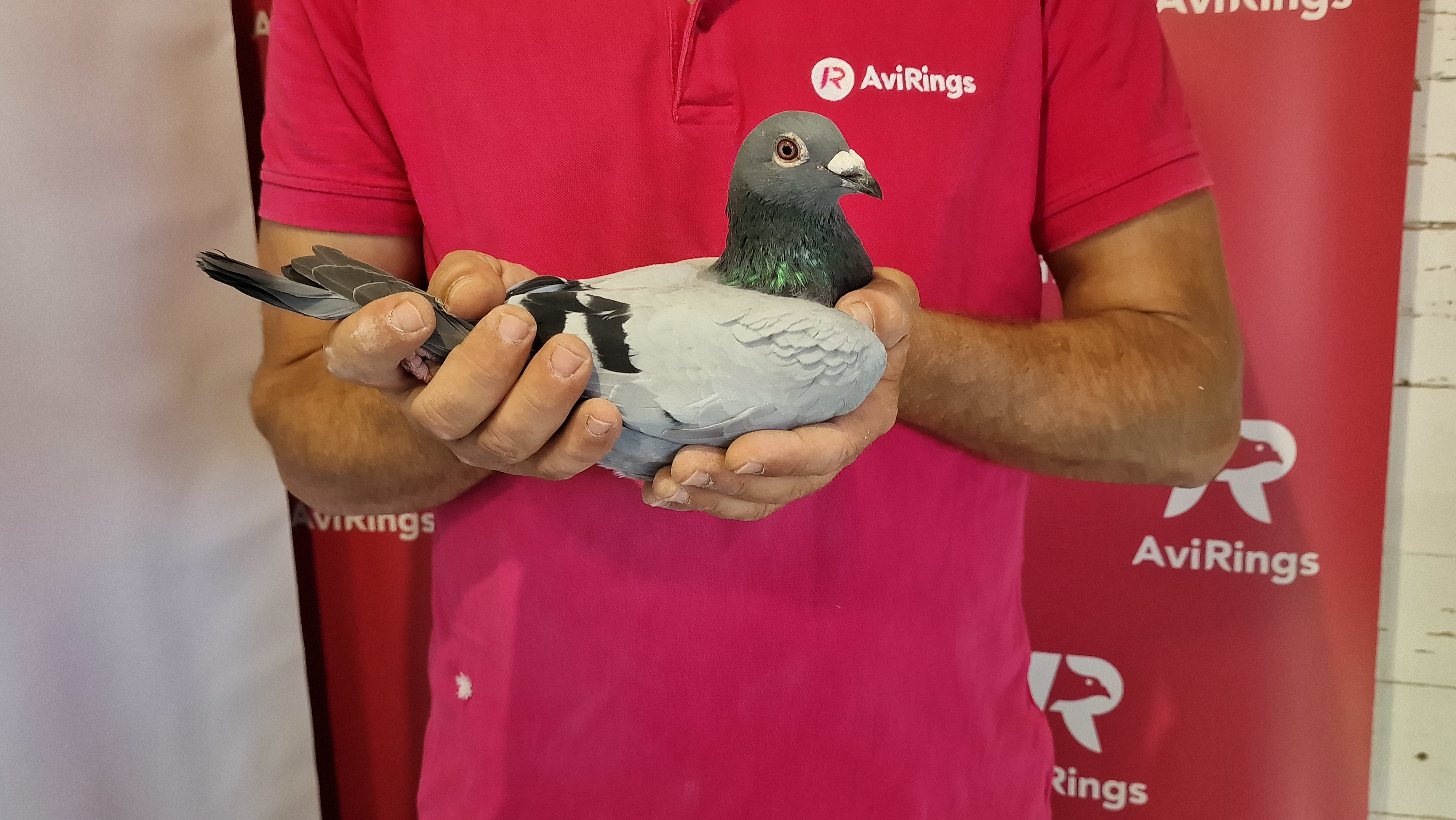 Daniel Kuhar - CRO-2023-19223