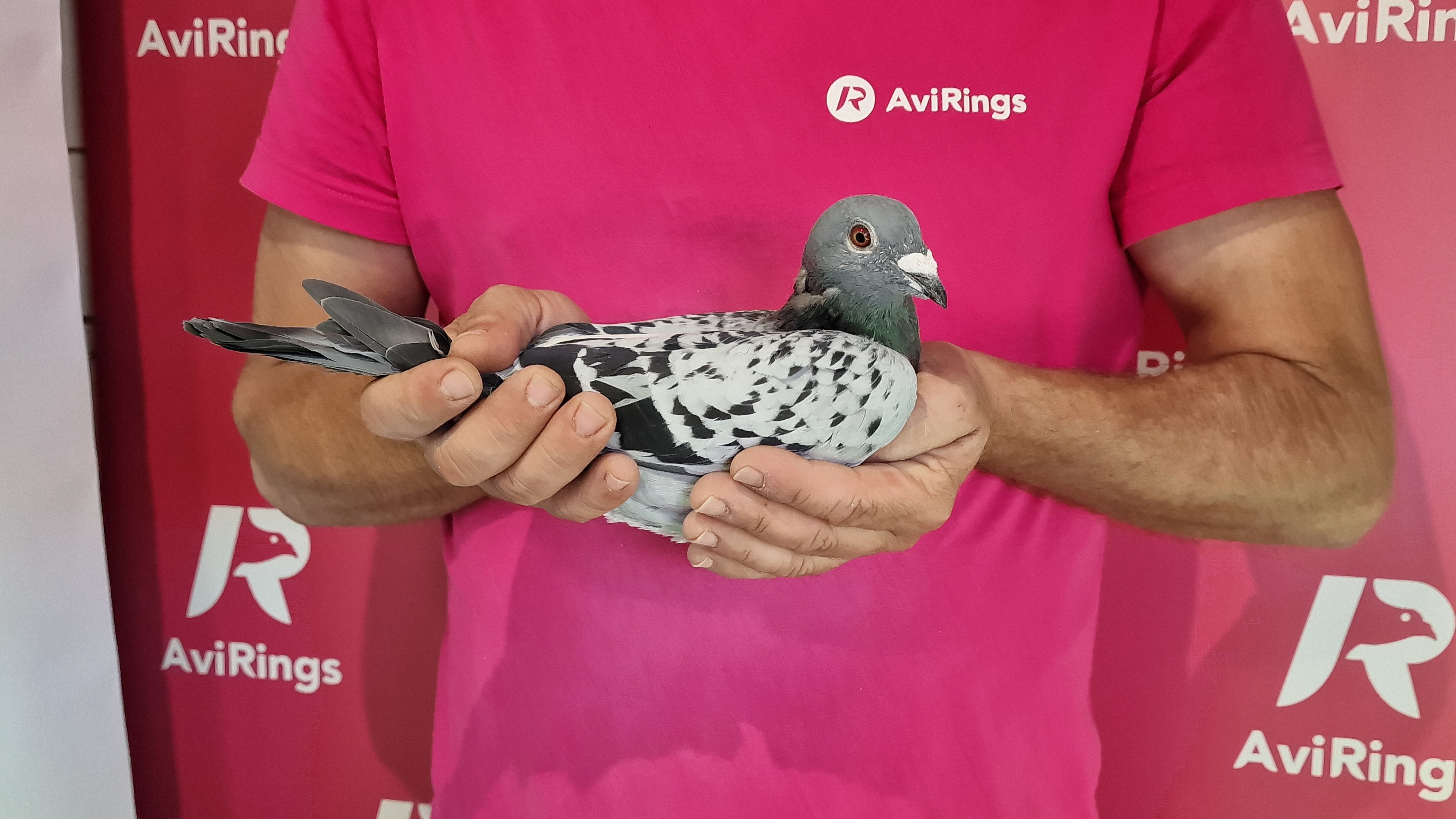 Team Jaap de Boer / Wim van Engen / Jan van Engen / John Folkers - JWJJ ...