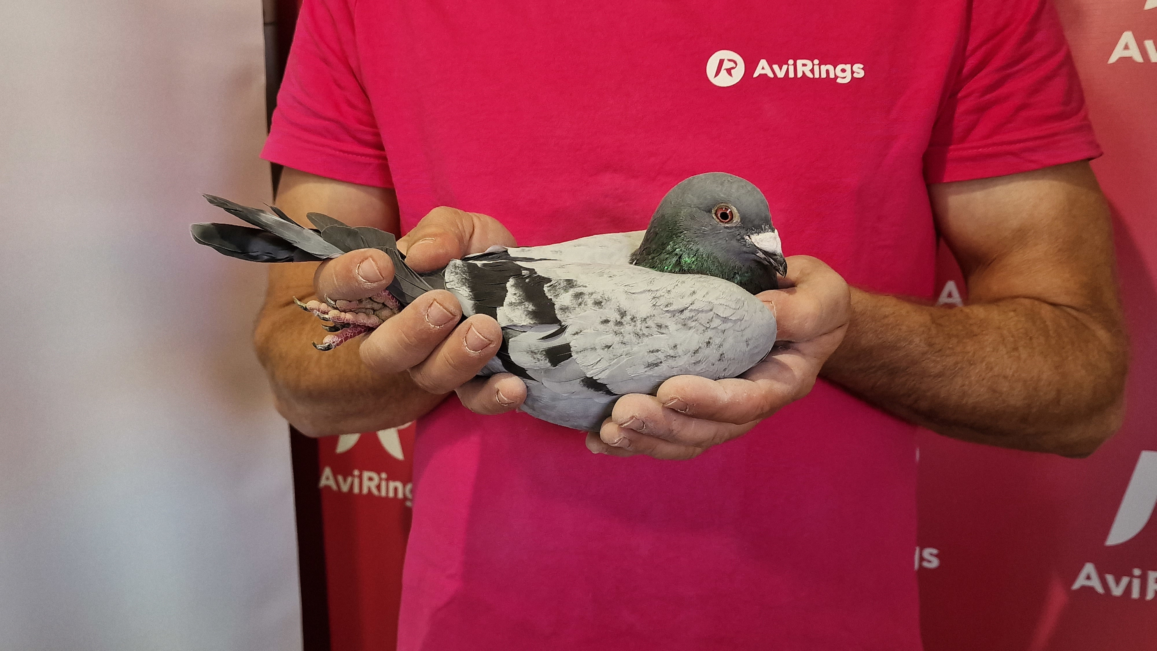 Thorsten Blank - DV-2023-01367-644