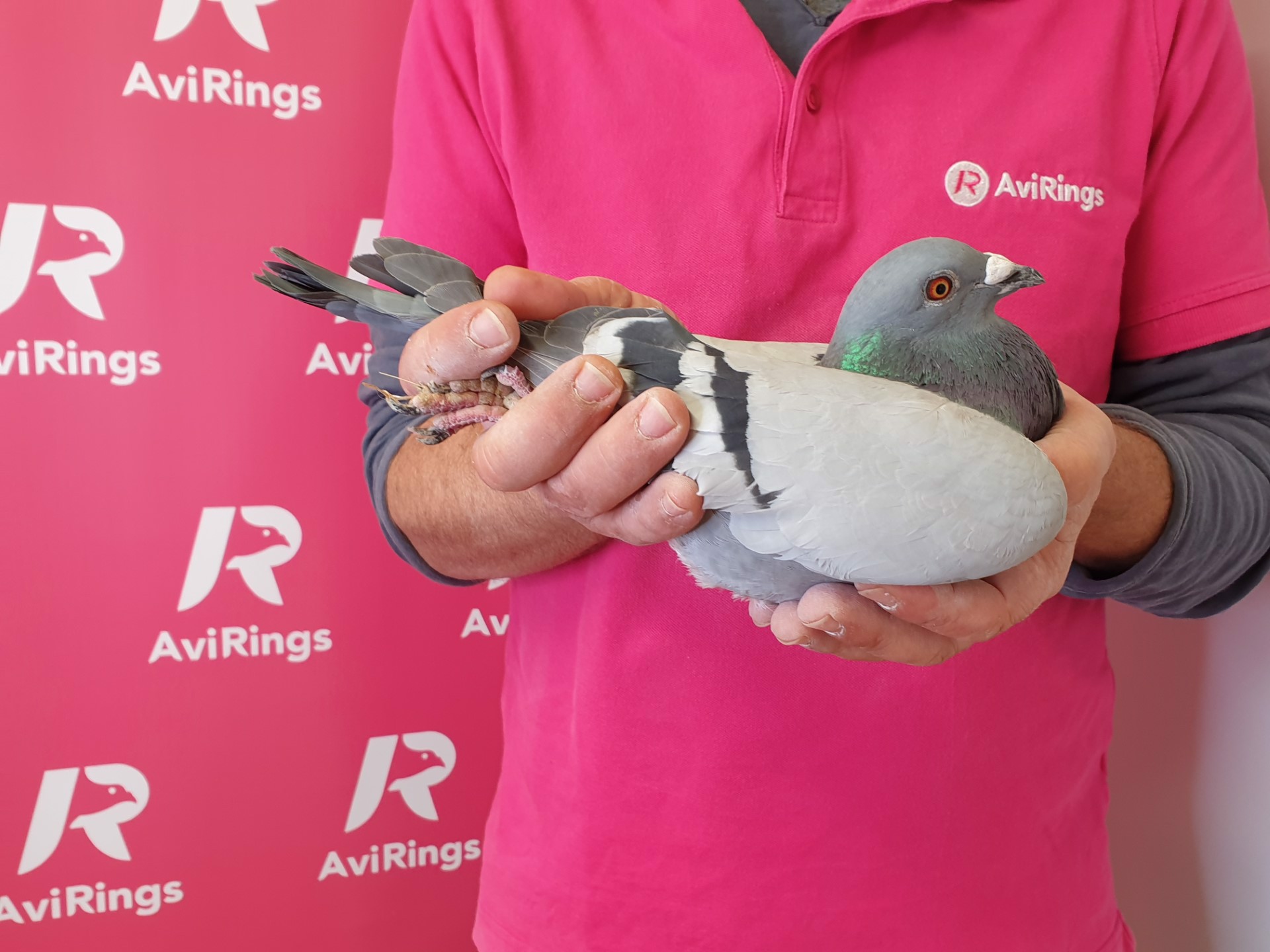 Tinus Boshoff - BE-2022-226-042326