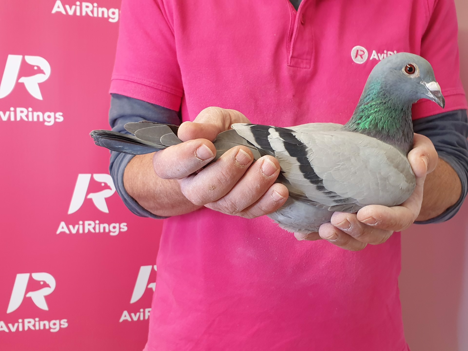 Team Richter/Lipski - DV-2022-004-631614